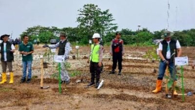 Tanam 10 Ribu Pohon Di-Area PLTA Batang Toru, PJBI Turut Jaga Ekosistem ...